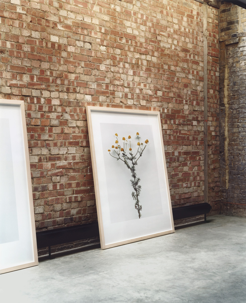 AXEL HOEDT / EXHIBITION VIEWS