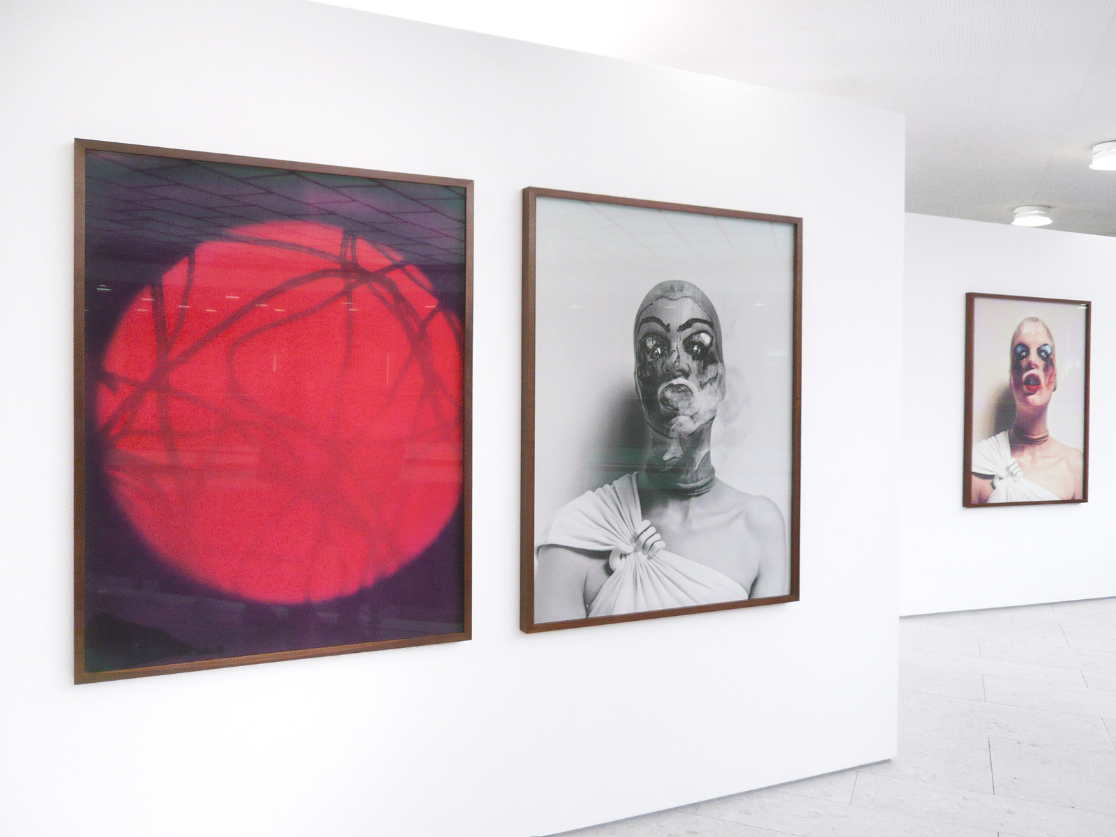 AXEL HOEDT / EXHIBITION VIEWS